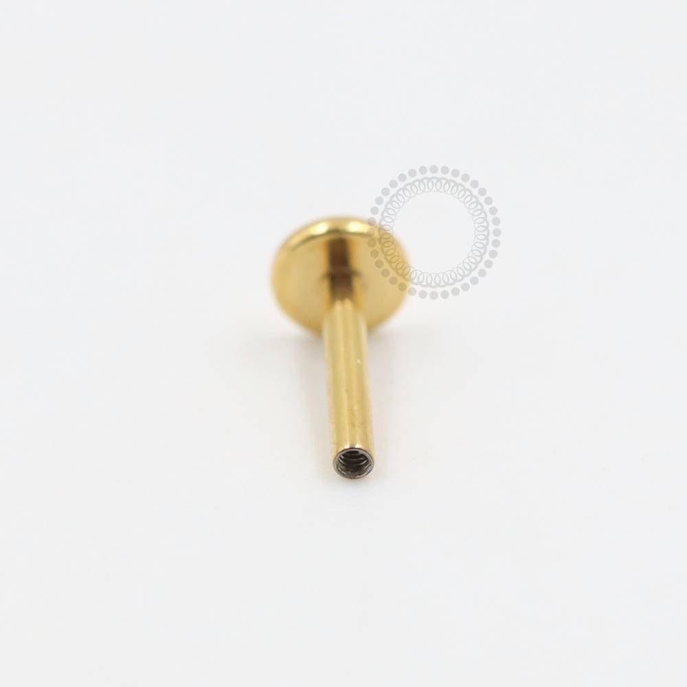 TN280 PVD Gold Titanium Labret Stem – ANGEL PIERCINGS ATACADO PT